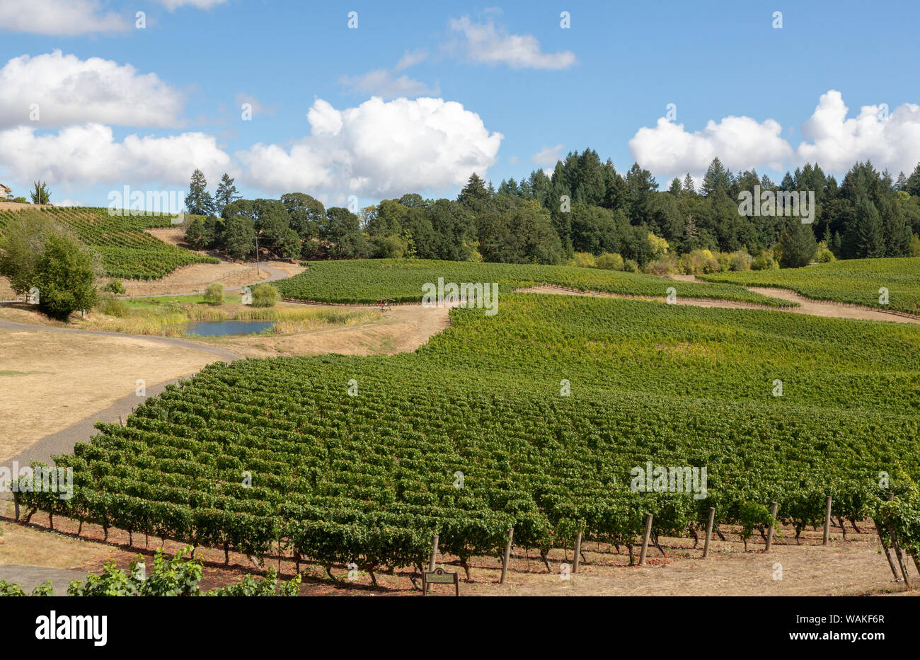 Elk cove hi-res stock photography and images - Alamy