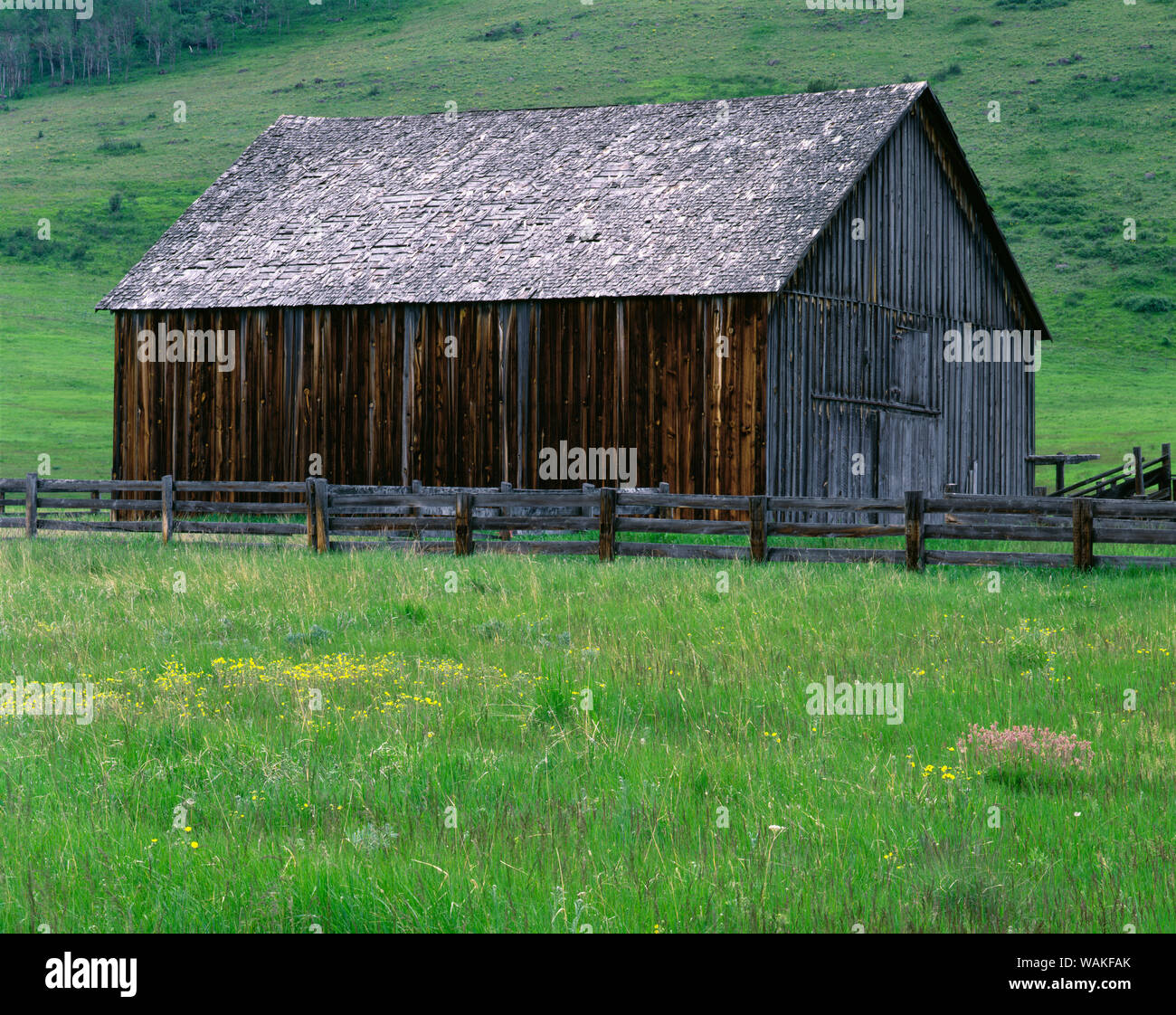 USA, Oregon. Barn and wildflowers in spring at The Nature Conservancy's ...