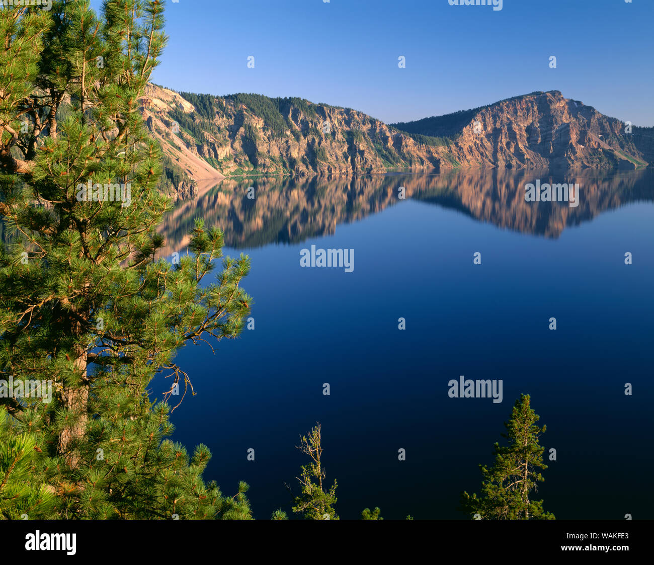 Dutton park hi-res stock photography and images - Alamy