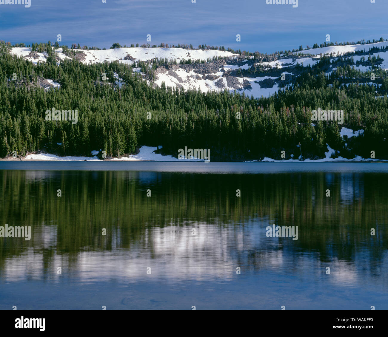 USA, Oregon. Deschutes National Forest, north slope of Tam McArthur Rim ...