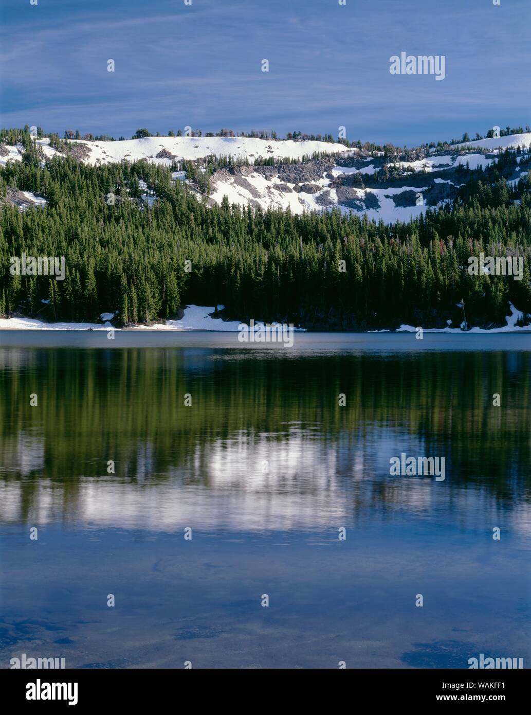Tam mcarthur hi-res stock photography and images - Alamy