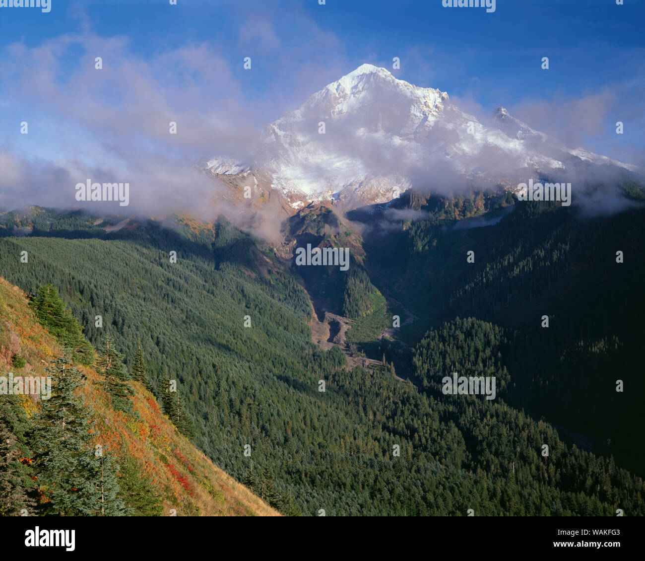 USA, Oregon. Mount Hood National Forest, Mount Hood Wilderness ...