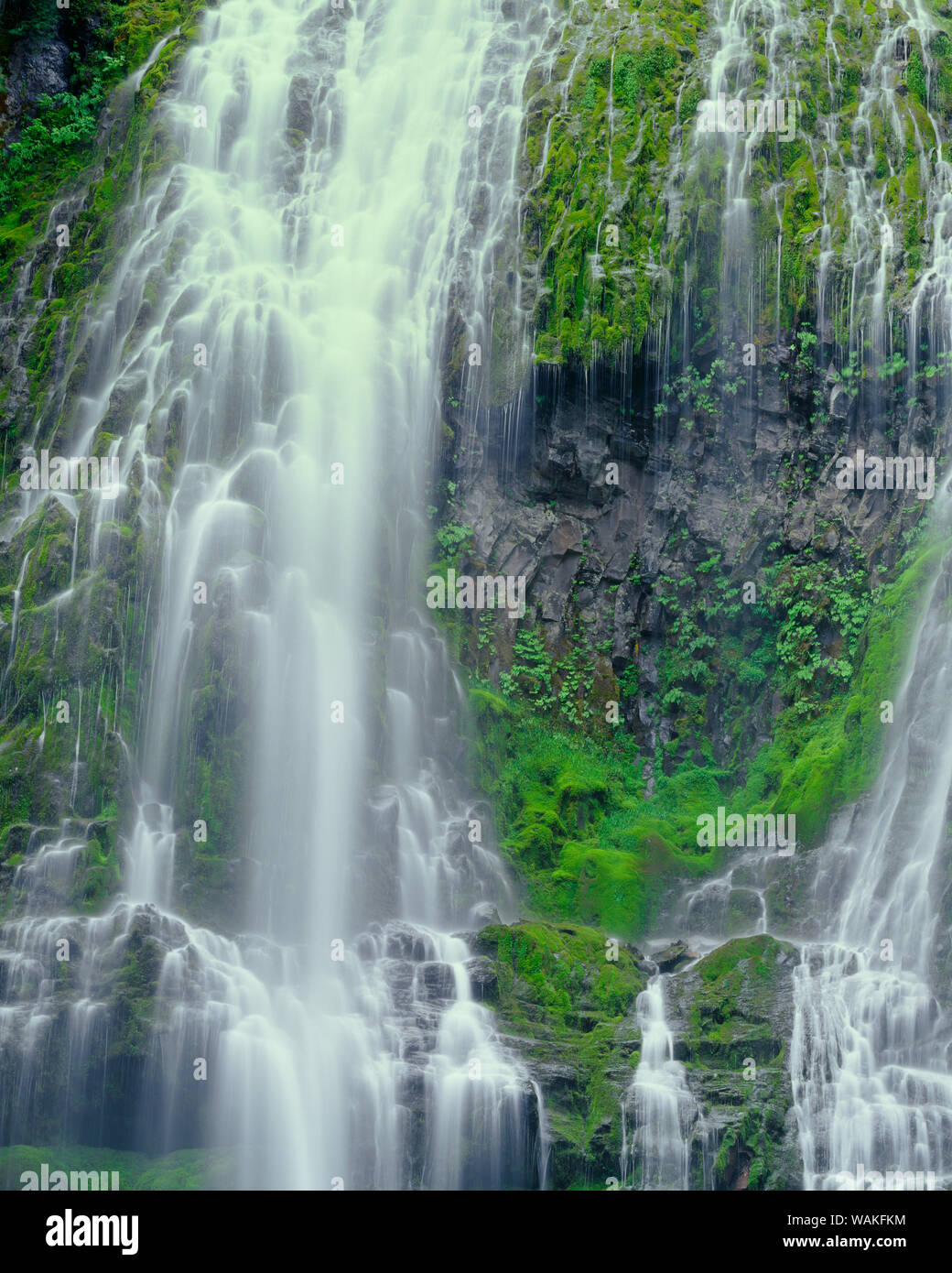 USA, Oregon. Willamette National Forest, Three Sisters Wilderness ...