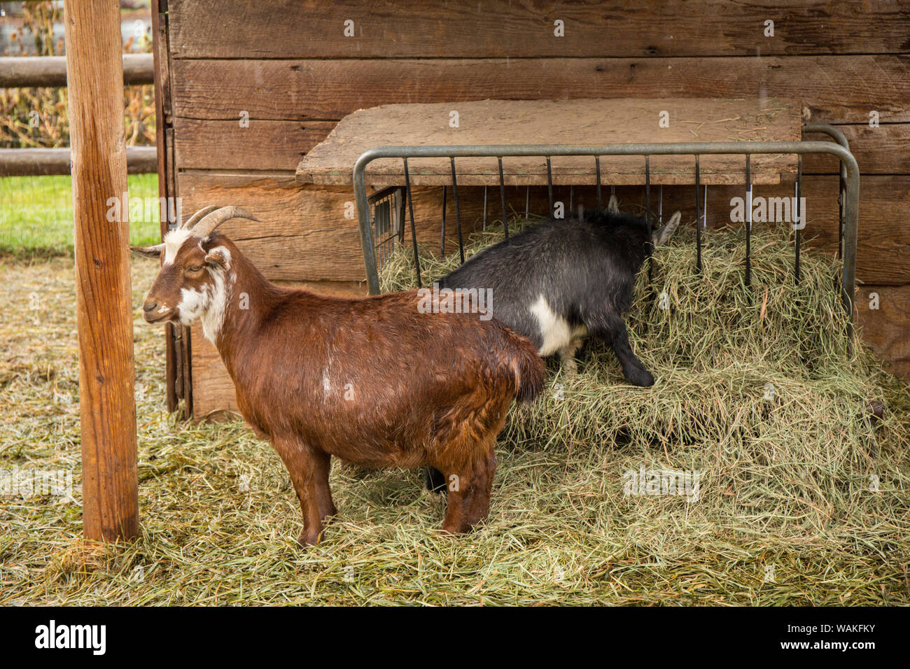 Under a shelter of hi-res stock photography and images - Alamy