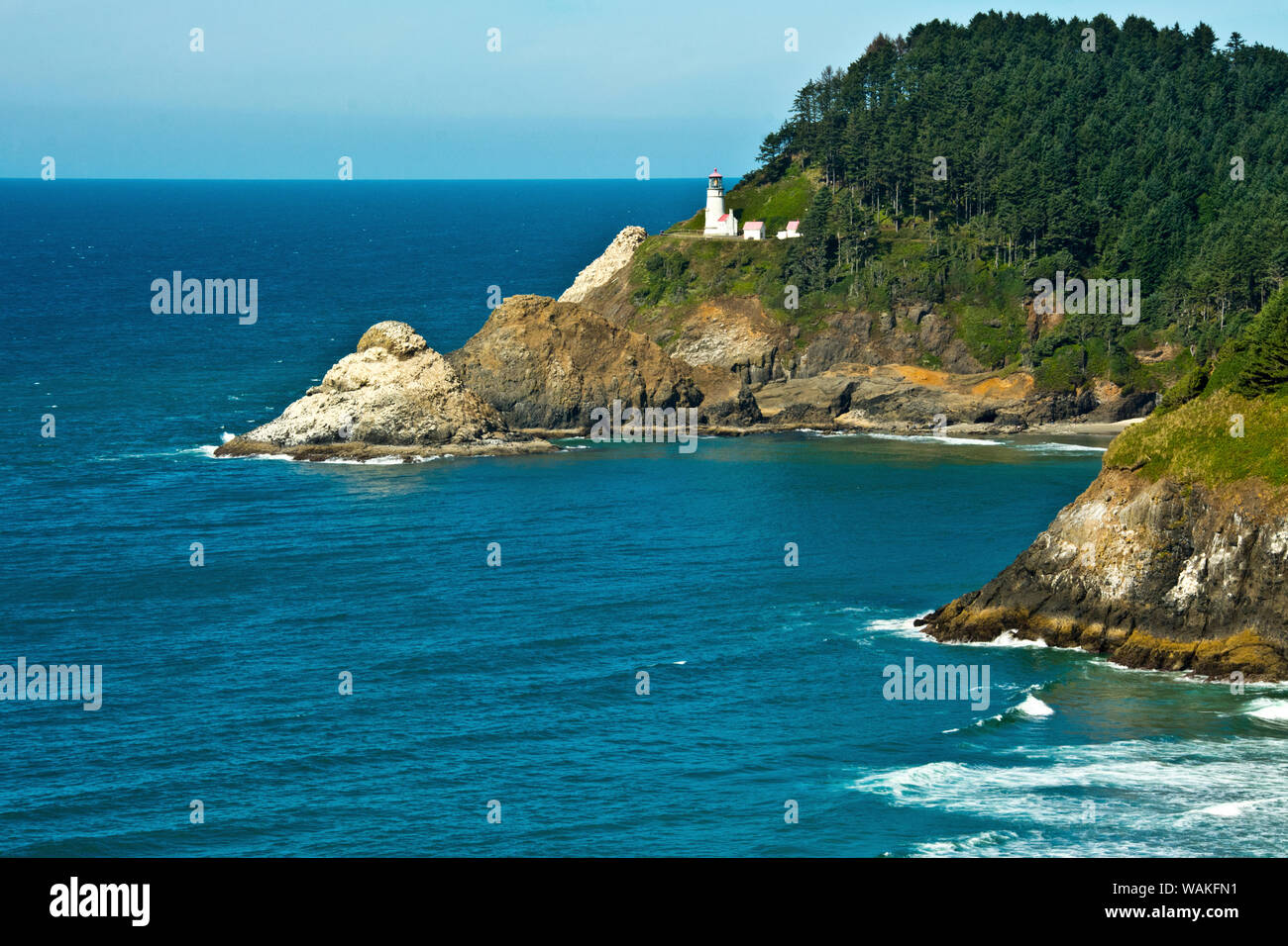 Heceta Head, Oregon Coast, Pacific Ocean, Oregon, USA Stock Photo - Alamy