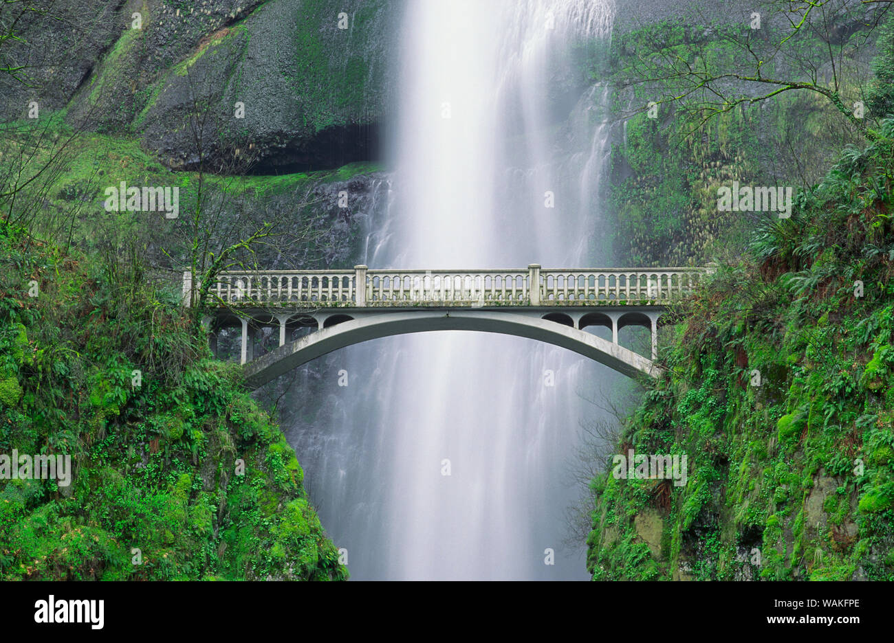 Multnomah Falls and bridge, Mount Hood National Forest, Columbia Gorge ...