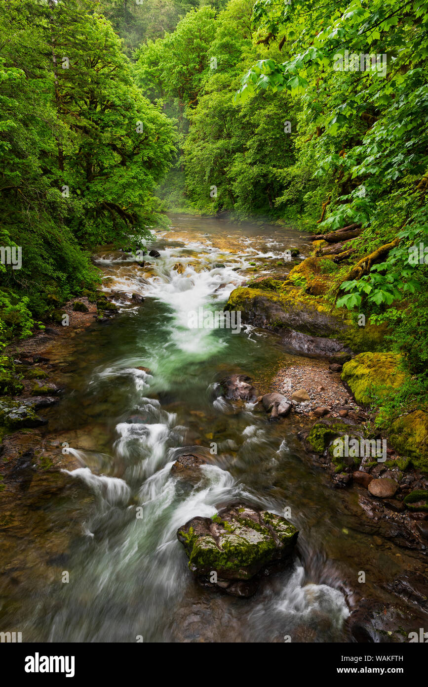 Meandering flow hi-res stock photography and images - Alamy