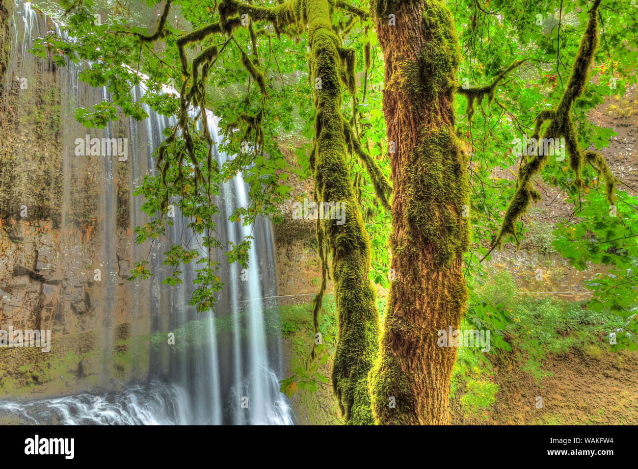Trail of Ten Falls, Silver Falls State Park, near Silverton, Oregon ...