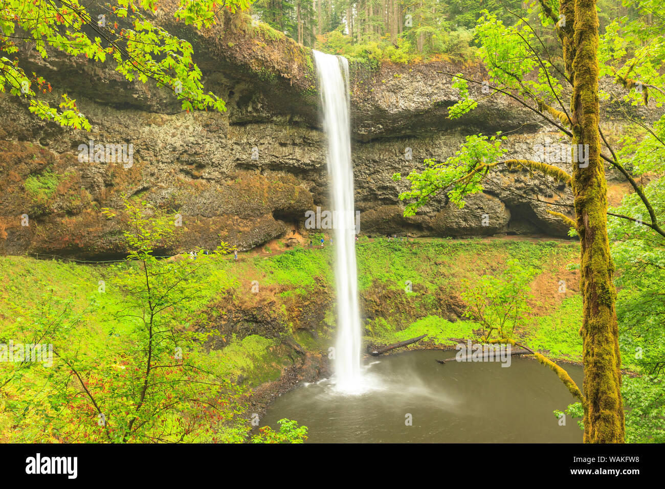 Trail of Ten Falls, Silver Falls State Park, near Silverton, Oregon ...