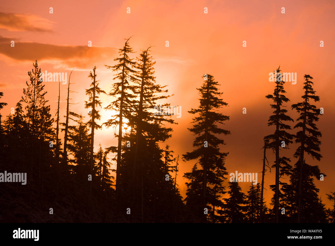 Lolo pass hi-res stock photography and images - Alamy