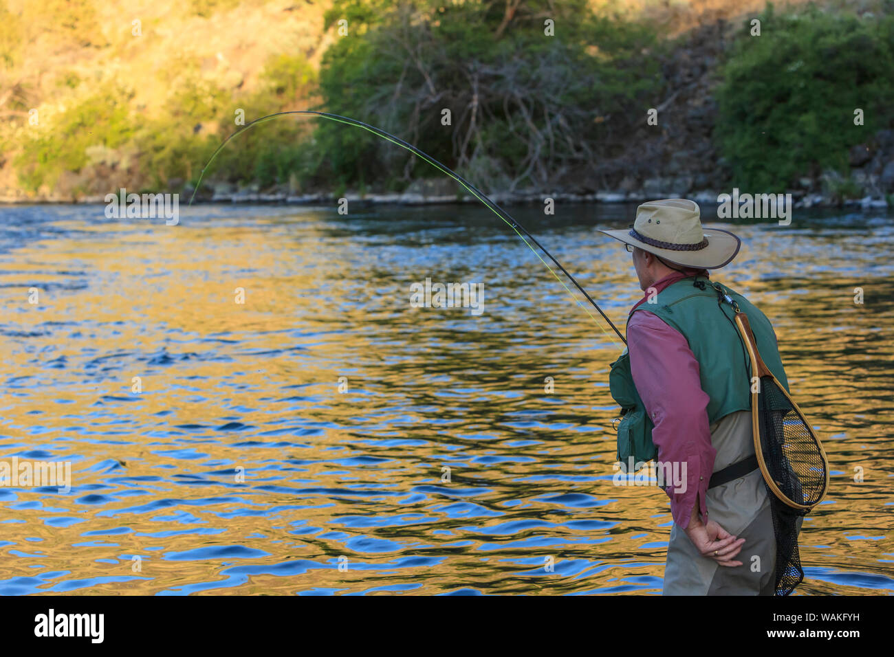 People Fly Fishing High Resolution Stock Photography and Images - Alamy