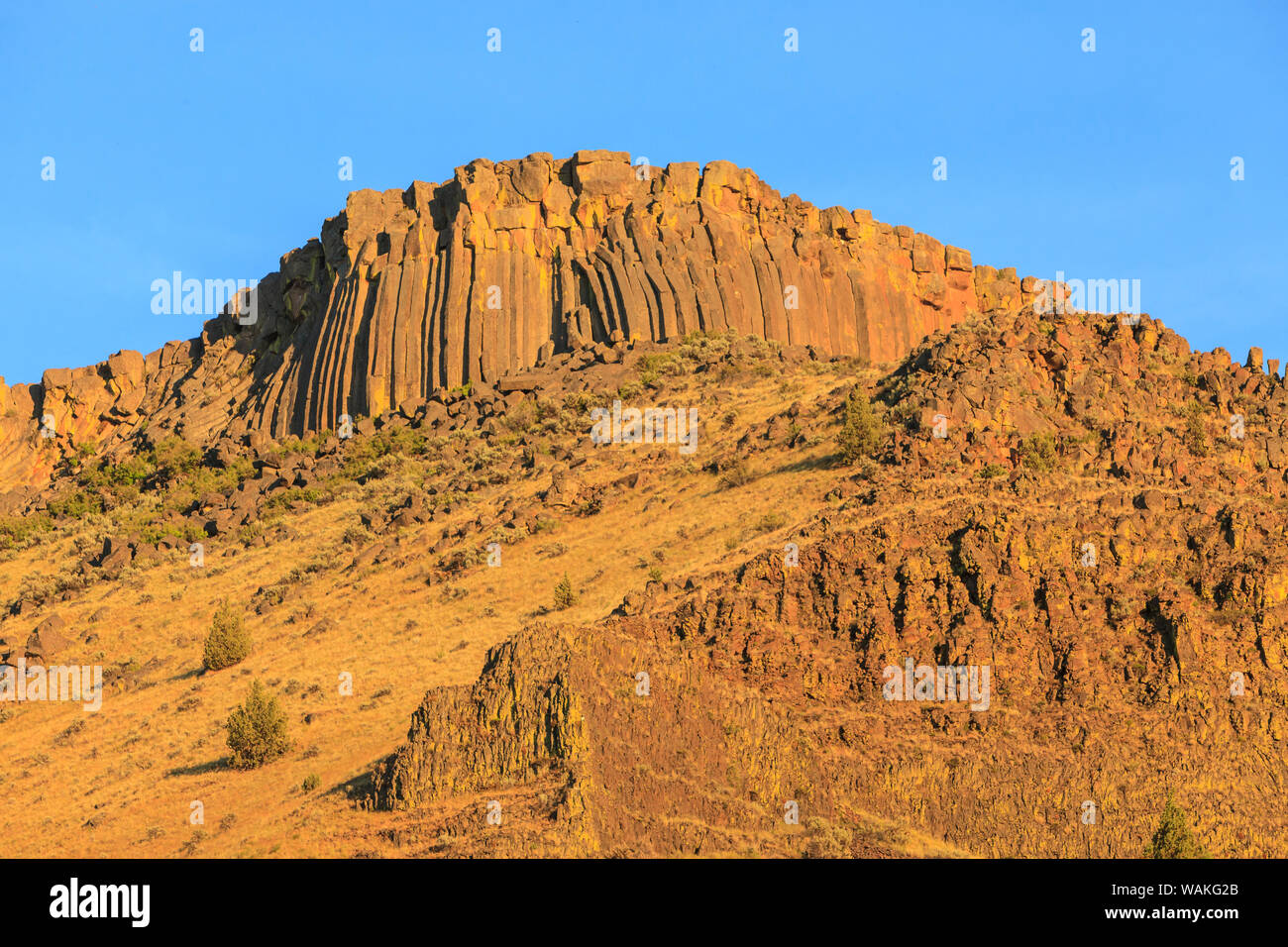 Basalt columns, Lower Deschutes River, Central Oregon, USA Stock Photo ...