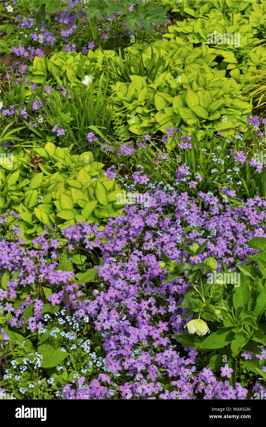 Spring colors Chanticleer Garden, Wayne, Pennsylvania Stock Photo - Alamy