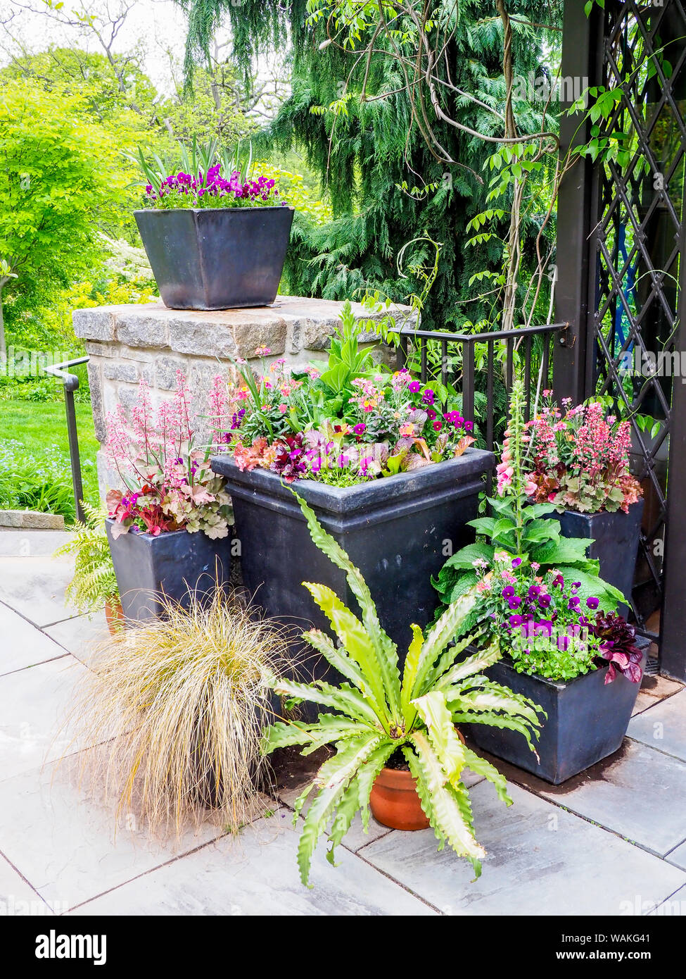 USA, Pennsylvania. Potted plants in a garden patio Stock Photo - Alamy