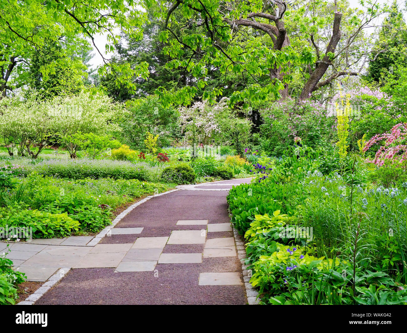 Pathway through a garden hi-res stock photography and images - Alamy