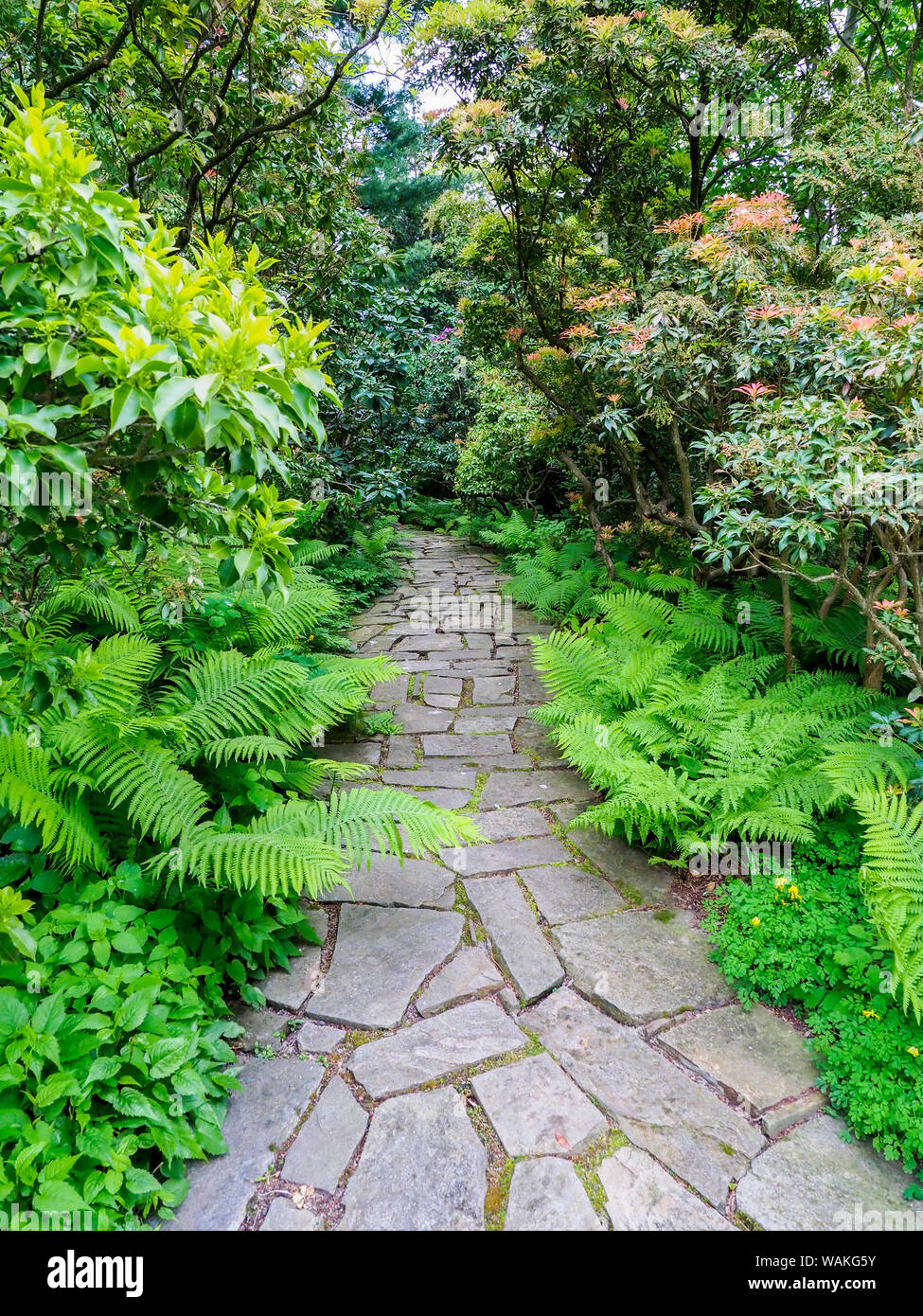 Meandering pathway hi-res stock photography and images - Alamy