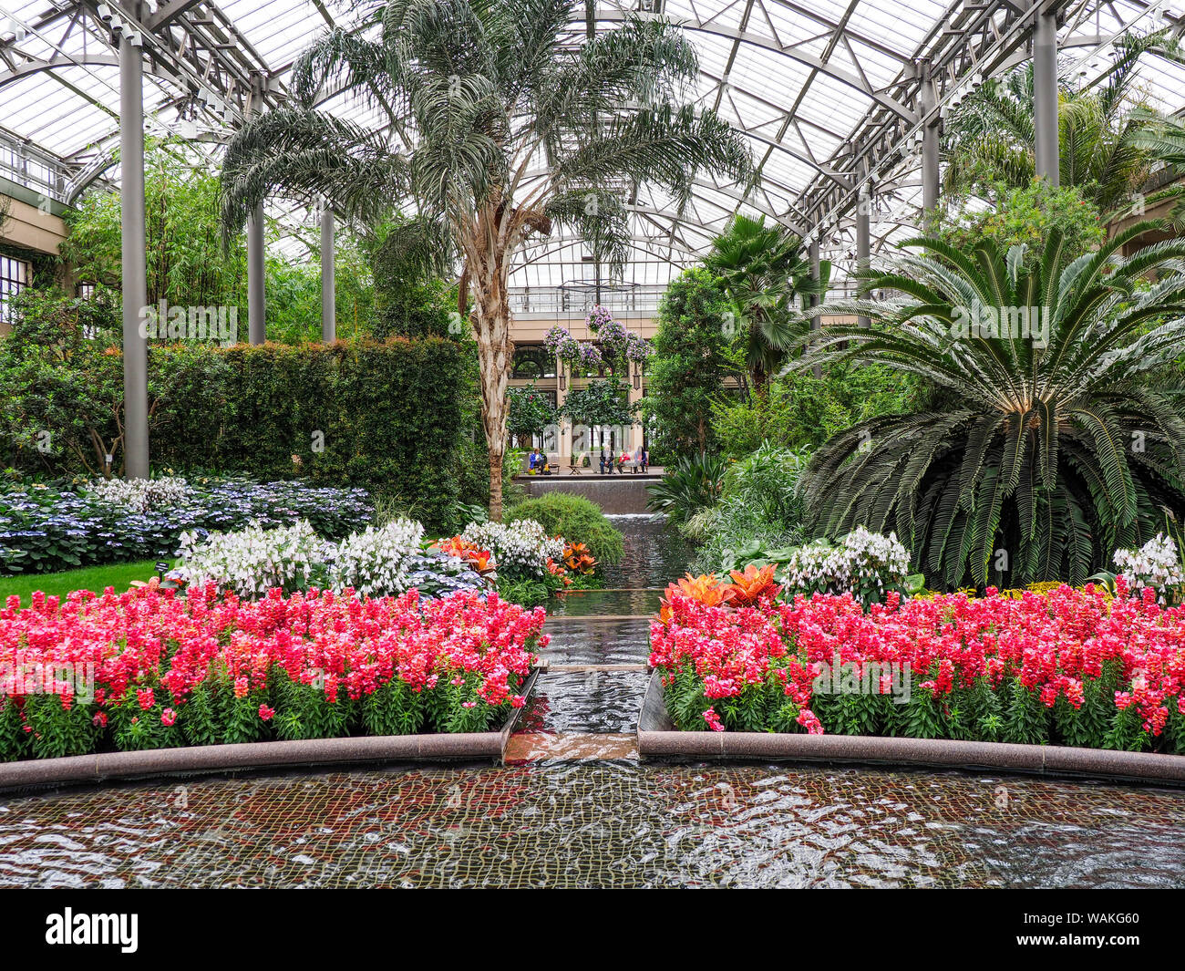 Indoor garden hi-res stock photography and images - Alamy