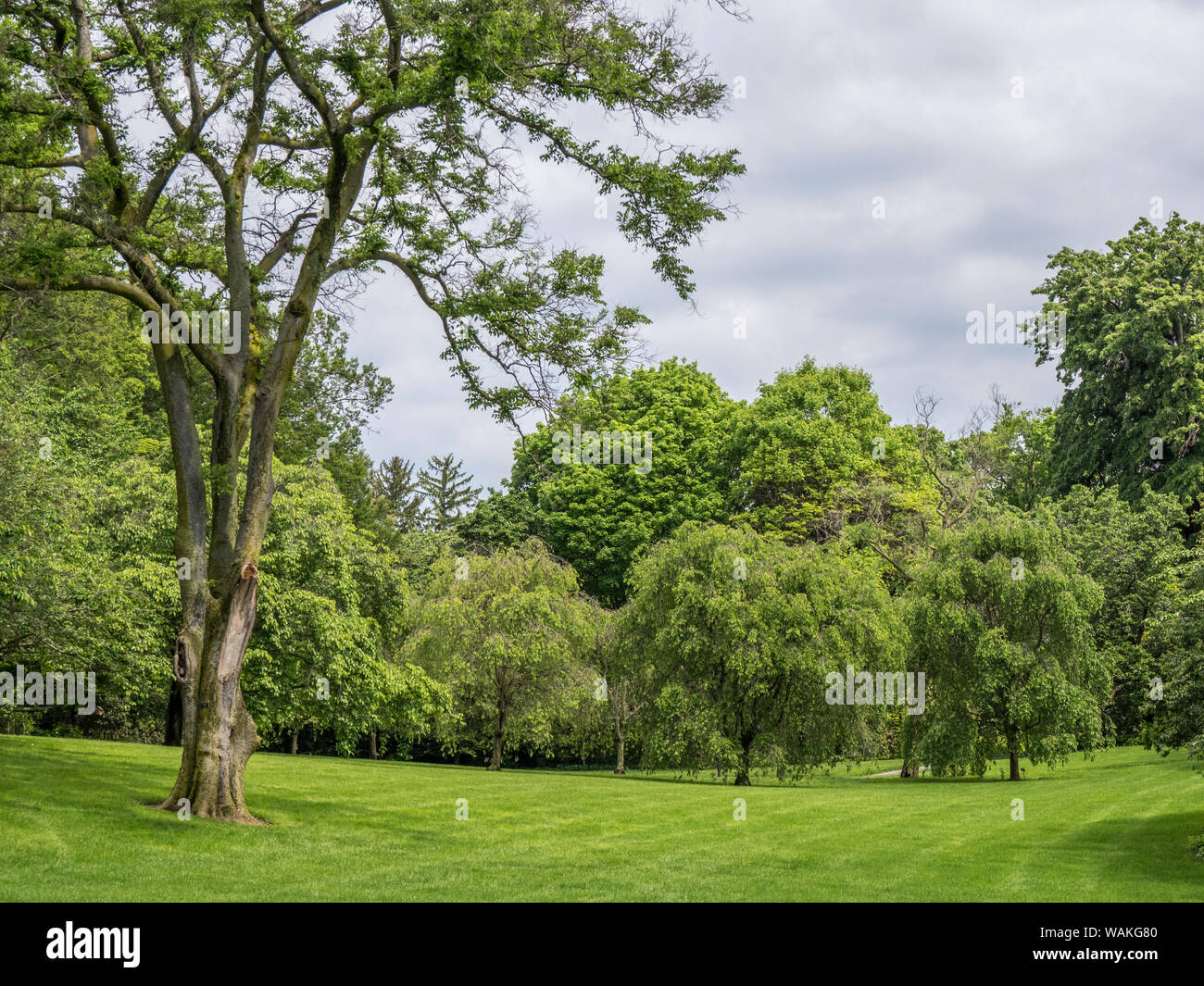 USA, Pennsylvania. Trees in a garden Stock Photo - Alamy