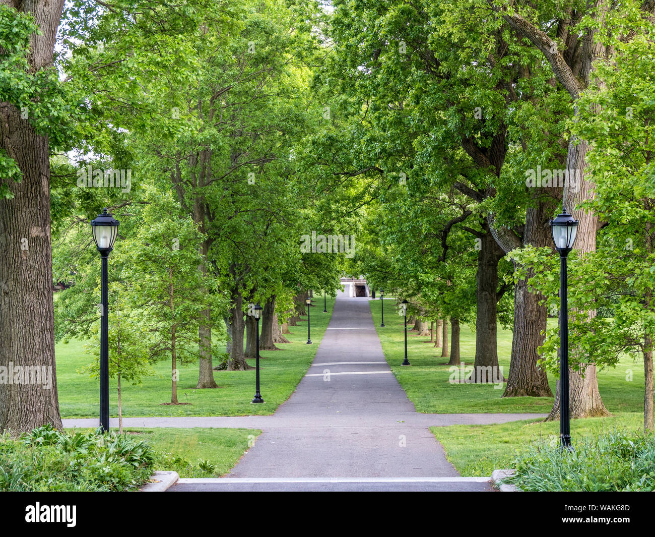 USA, Pennsylvania. Tree lined walkway Stock Photo - Alamy