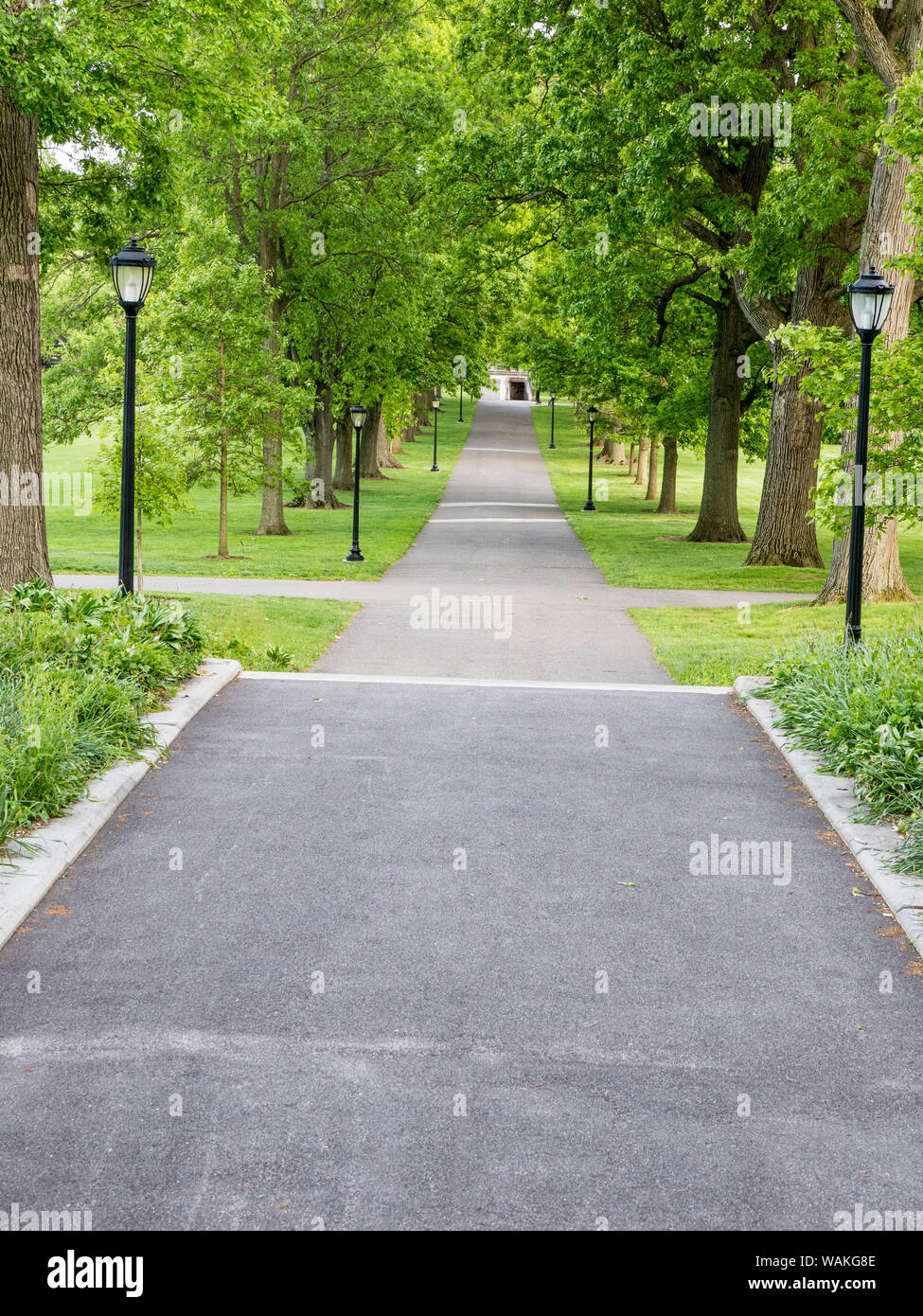 USA, Pennsylvania. Tree lined walkway Stock Photo - Alamy