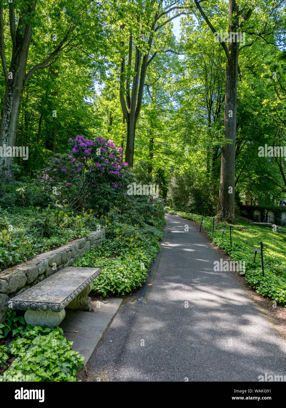 USA, Pennsylvania. Walkway and bench in a forest setting Stock Photo ...