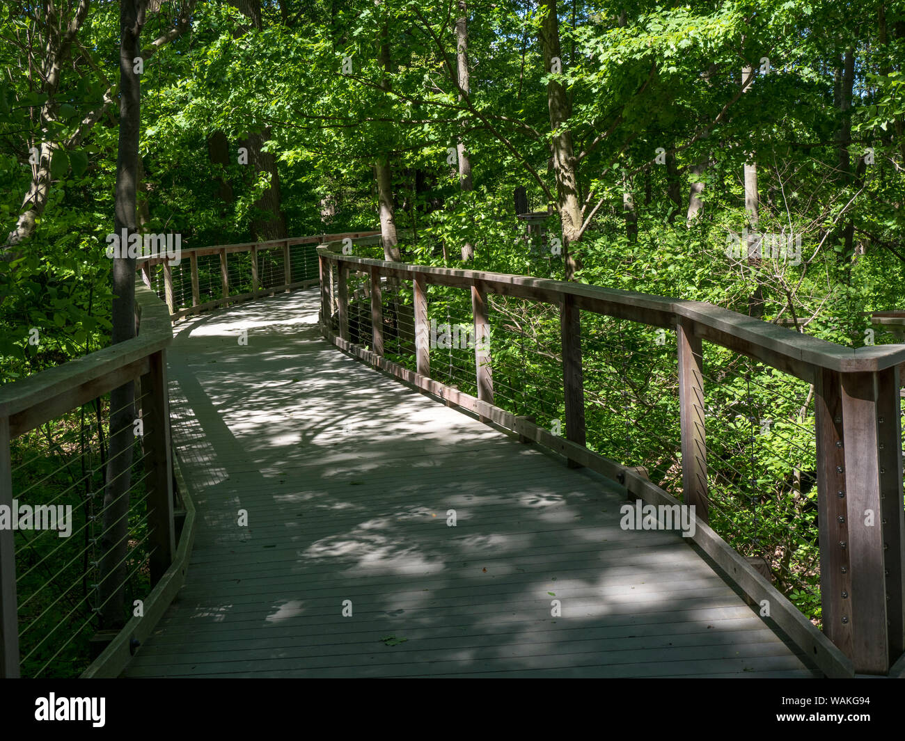 USA, Pennsylvania. Pathway through a wooded area Stock Photo - Alamy