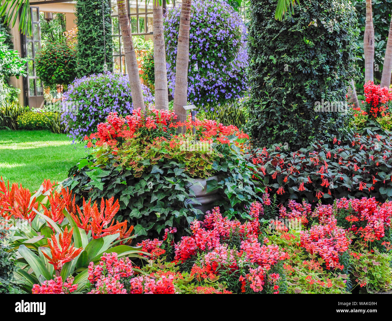 Indoor spring flowers hi-res stock photography and images - Alamy