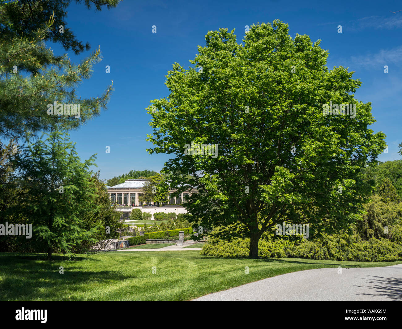 USA, Pennsylvania. A tree lined walkway with an indoor observatory in ...