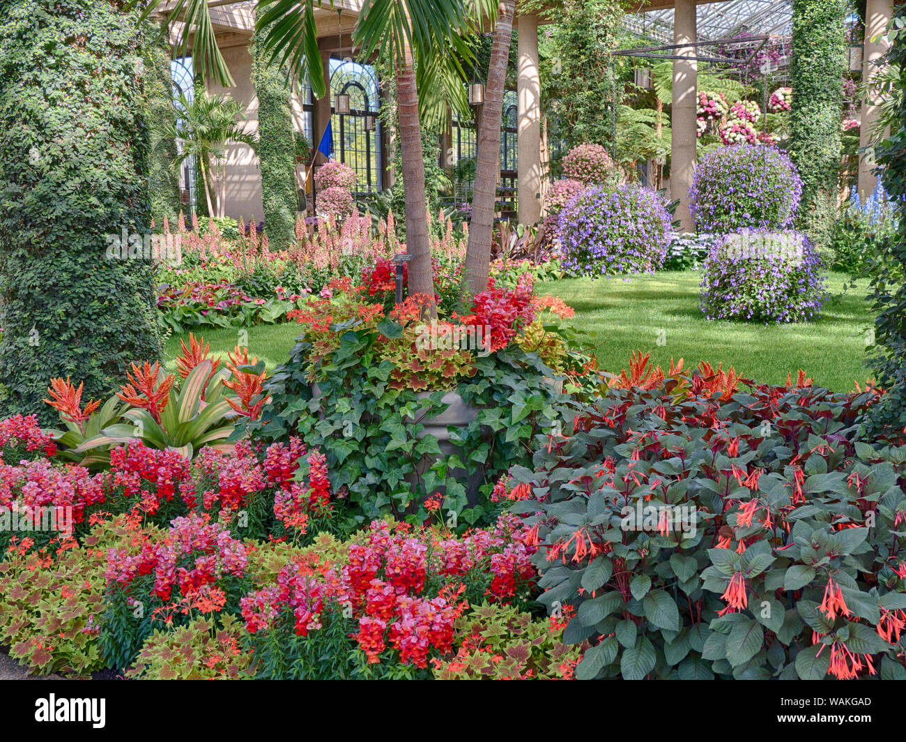 Indoor spring flowers hi-res stock photography and images - Alamy