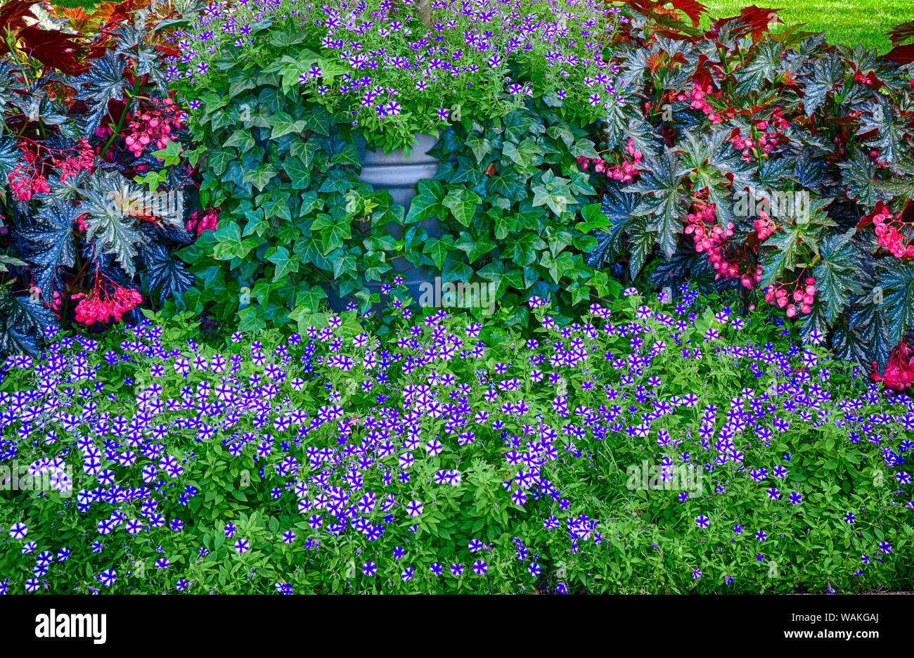 Indoor spring flowers hi-res stock photography and images - Alamy