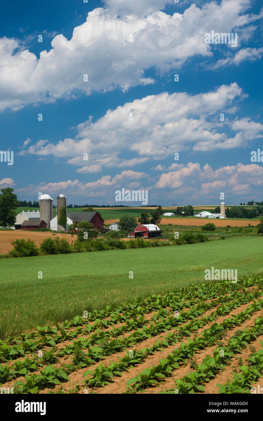 USA, Pennsylvania, Gap. Farm Stock Photo - Alamy