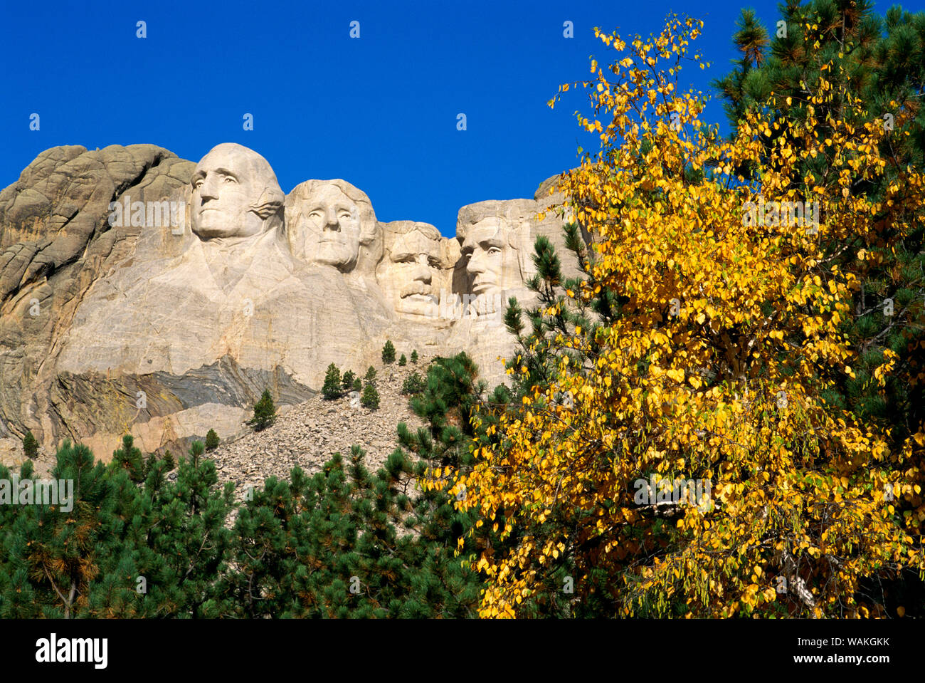 Fall color under Mount Rushmore, Mount Rushmore National Memorial ...