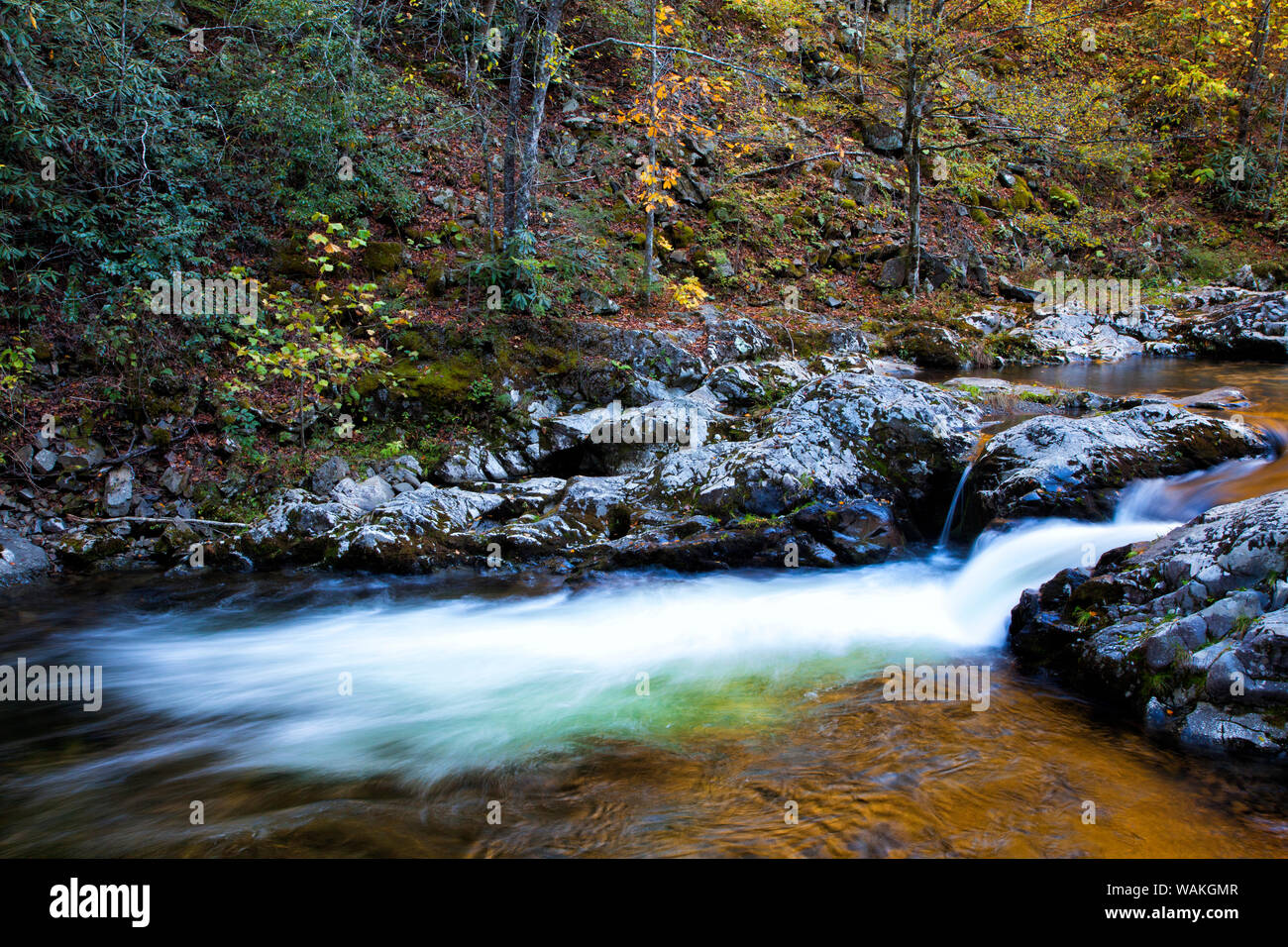 Cascade along little river in hi-res stock photography and images - Alamy