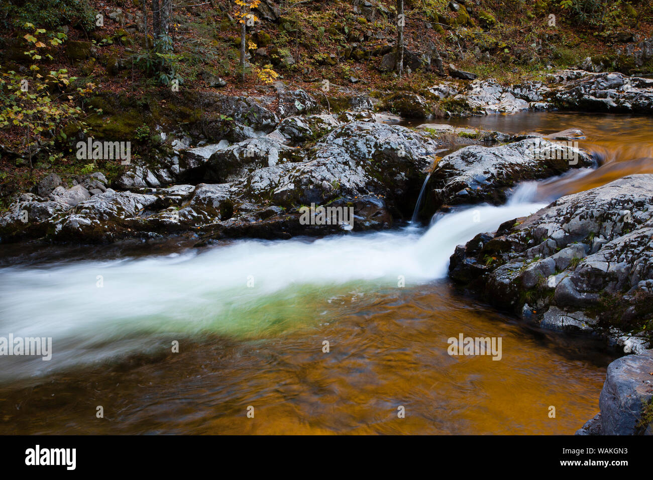 Cascade along little river in hi-res stock photography and images - Alamy