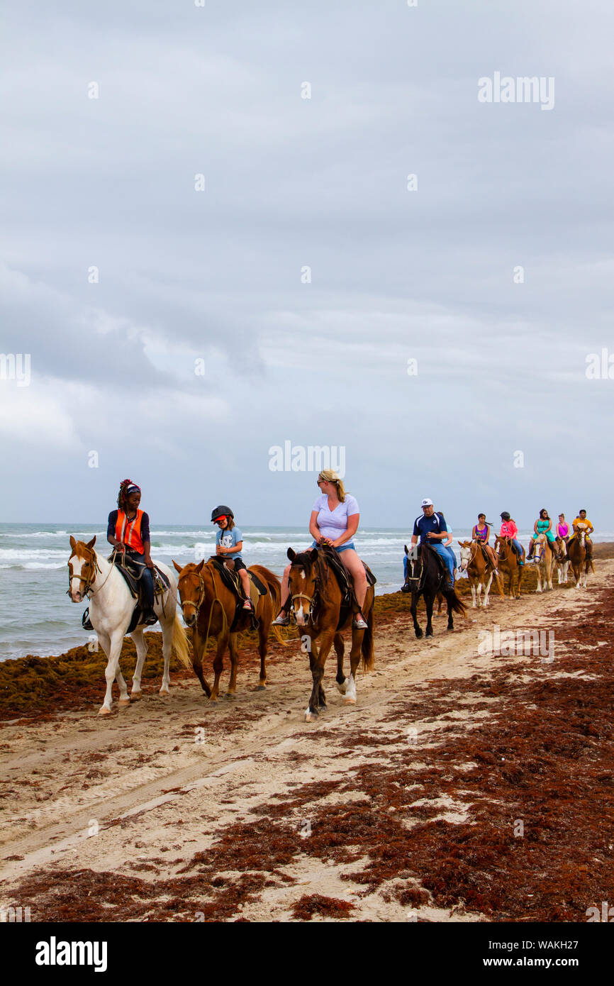 Riding horse shore hi-res stock photography and images - Alamy