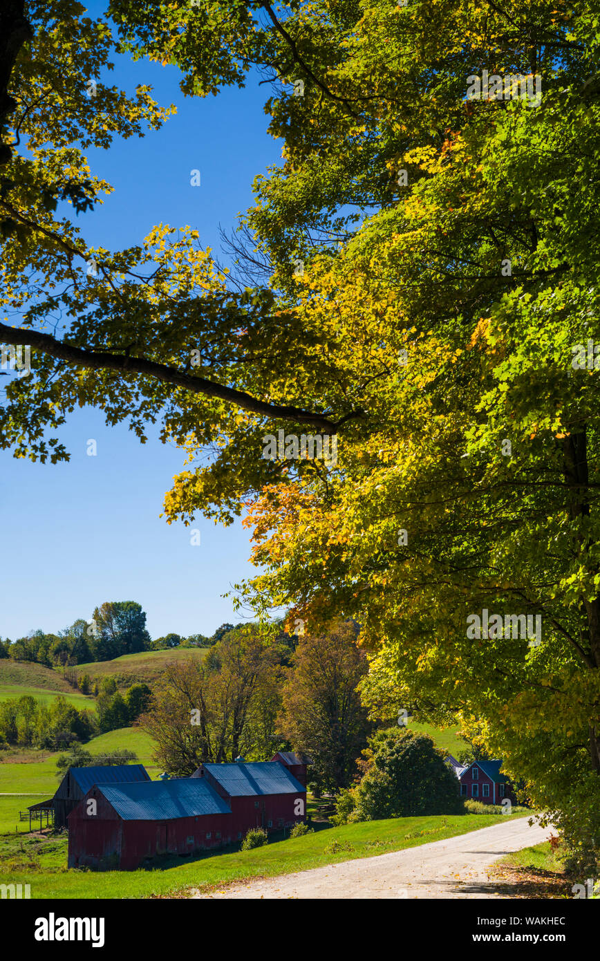 Jenne hi-res stock photography and images - Alamy