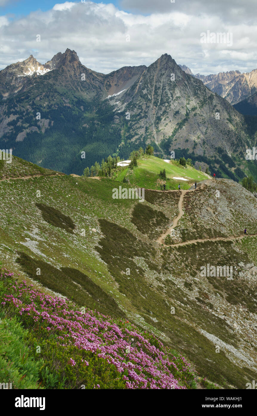 Hikers on Maple Pass Trail, North Cascades, Washington State Stock ...