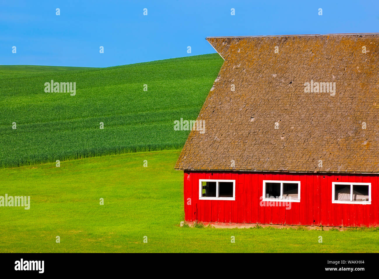 USA, Washington, Palouse. Red barn and farm crops. Credit as: Jim ...