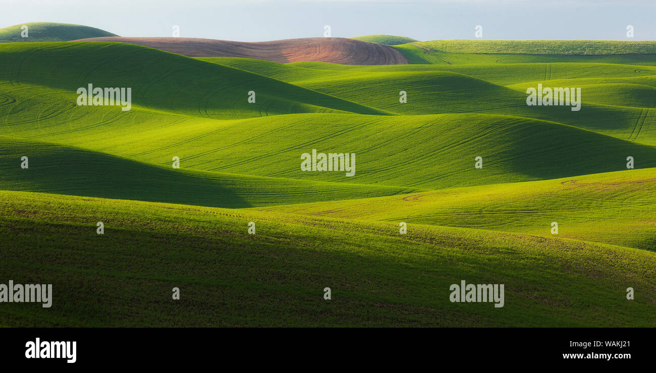 Rolling fields of the palouse hi-res stock photography and images - Alamy