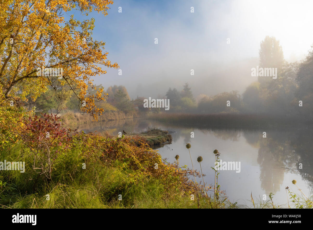 USA, Washington State, Seabeck. Miami Beach Saltwater Lagoon sunrise ...
