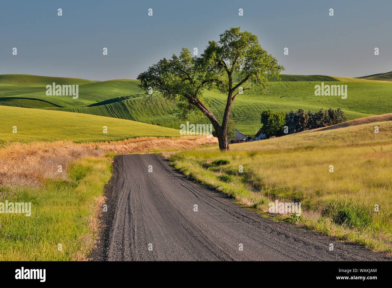 Country and eastern hi-res stock photography and images - Alamy
