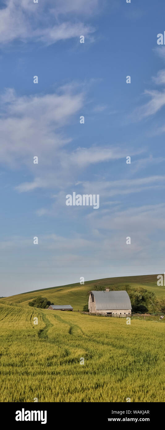 Eastern washington farm hi-res stock photography and images - Alamy