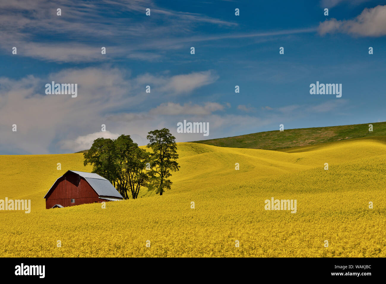 Eastern washington farm hi-res stock photography and images - Alamy