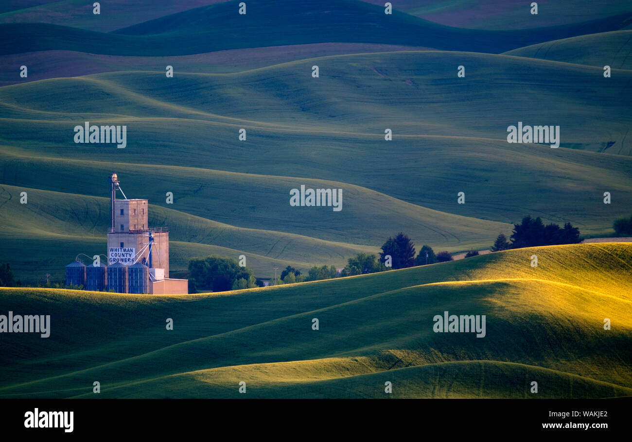 USA, Washington State, Palouse. Countryside and silos Stock Photo - Alamy