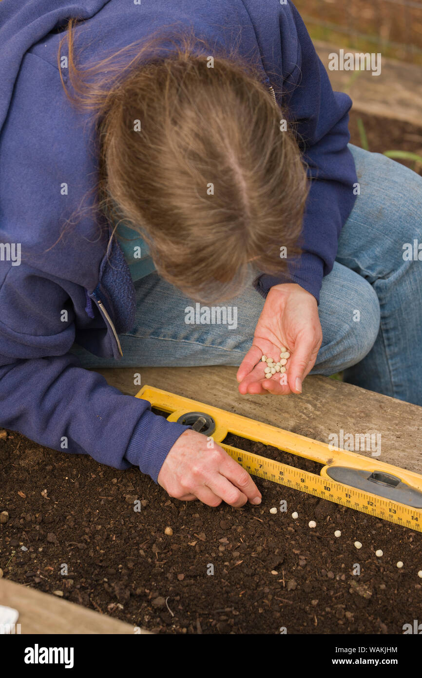 Proper level hi-res stock photography and images - Alamy