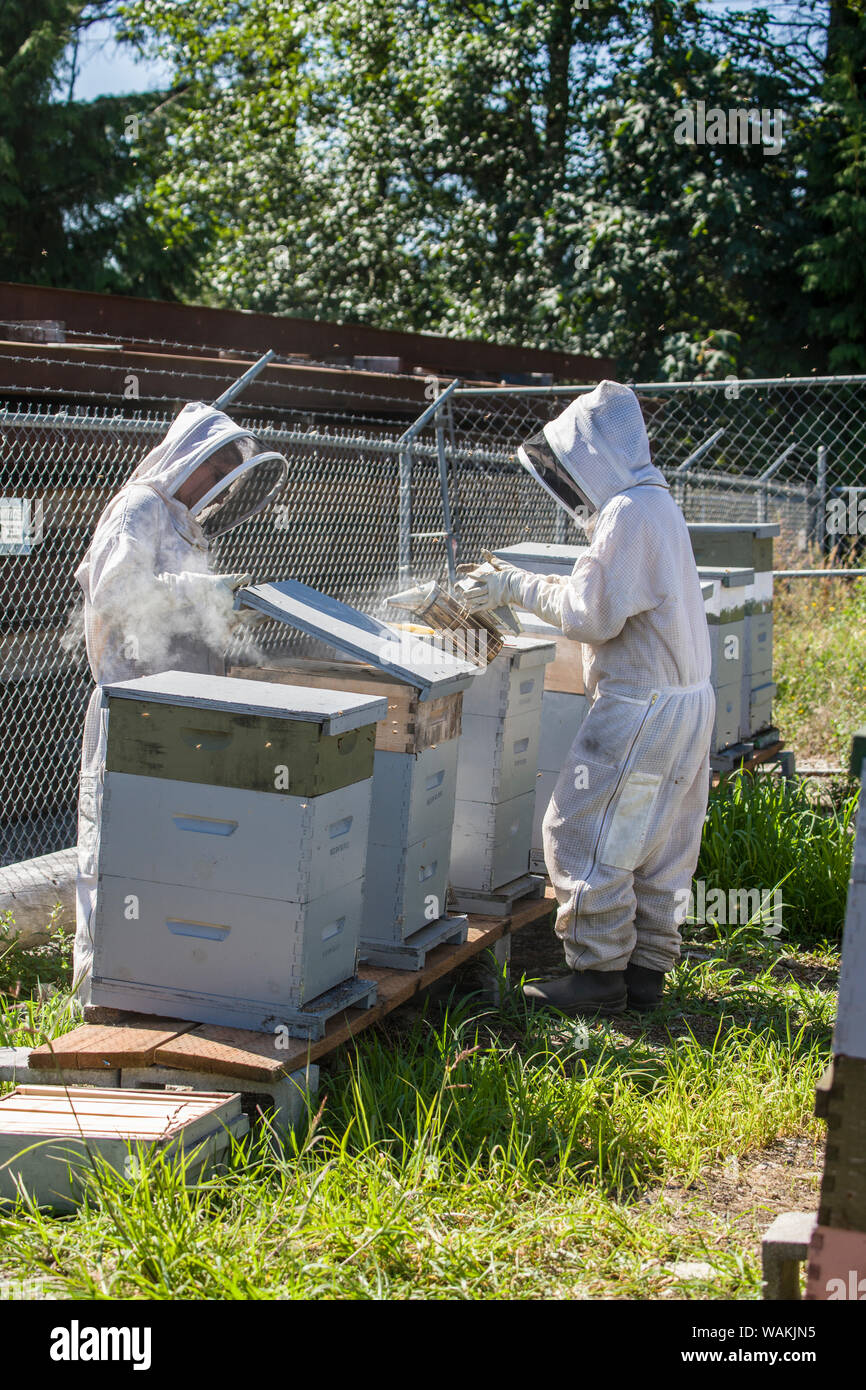Bee state hive hi-res stock photography and images - Alamy