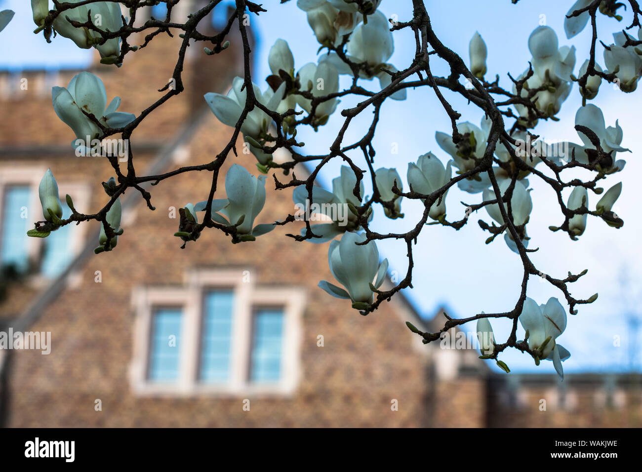 Roman underworld hi-res stock photography and images - Alamy