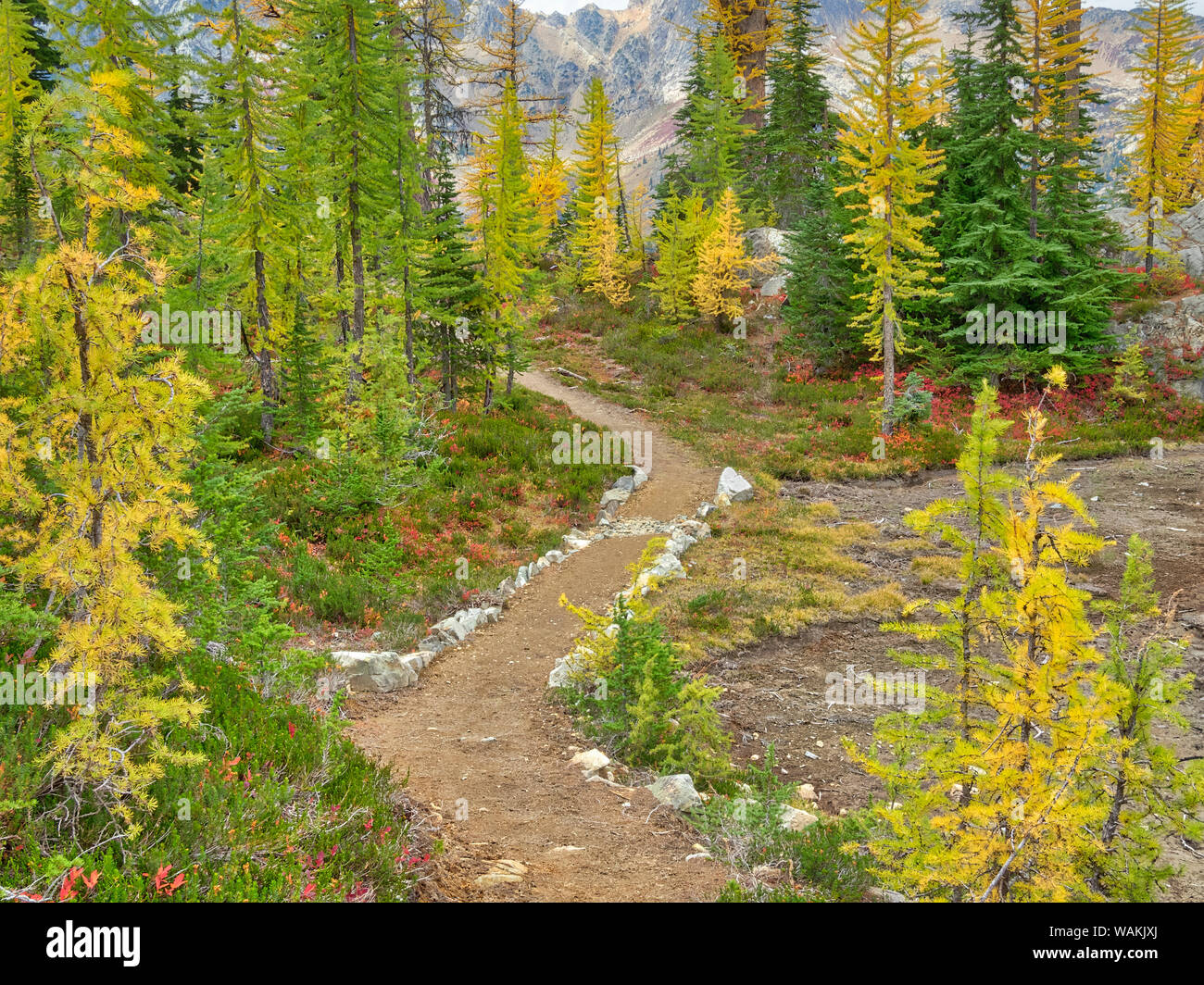Okanogan wenatchee national forest hi-res stock photography and images ...