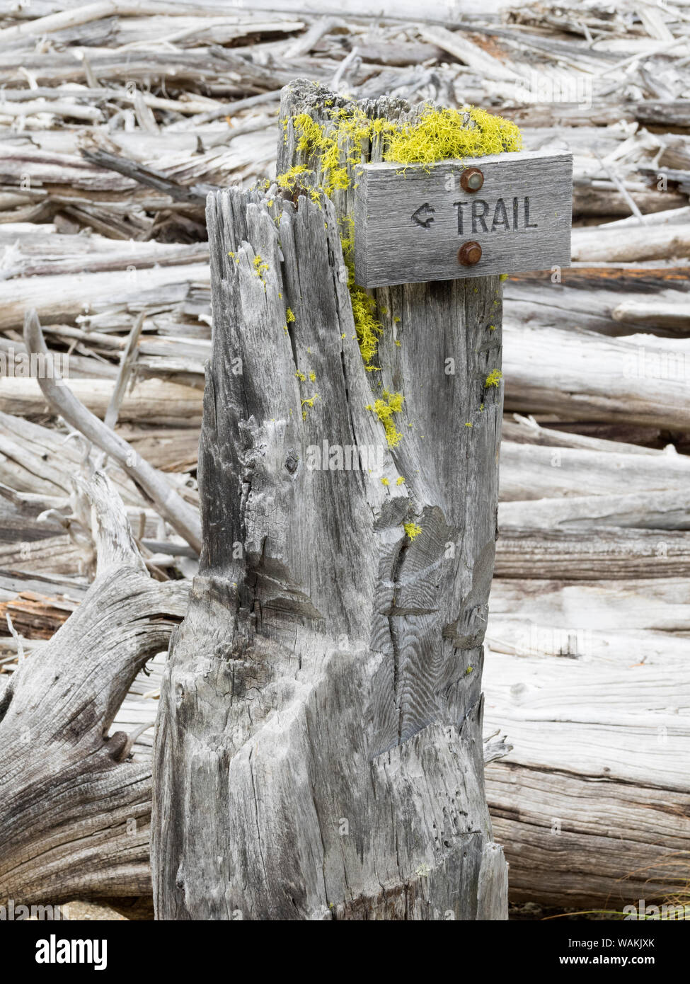 Washington State, Alpine Lakes Wilderness. Trail sign Stock Photo - Alamy