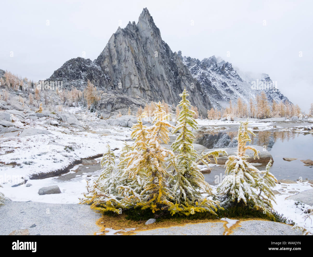 Washington State, Alpine Lakes Wilderness. Enchantment Lakes, snow ...